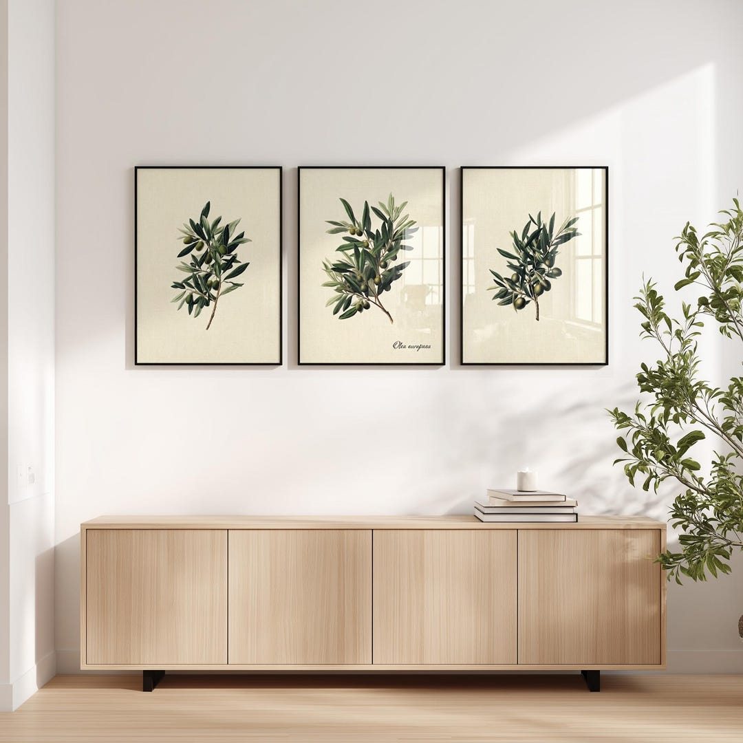 Vintage Botanical Olive Branch Wall Art Set of 3 Prints – Olive Tree ...