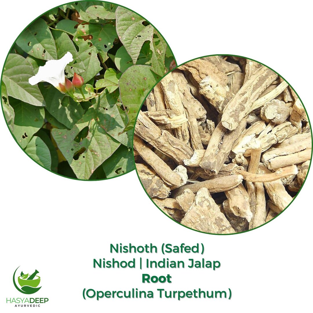 Nishoth (safed) Roots | Nishod (white) | Indian Jalap | Operculina ...