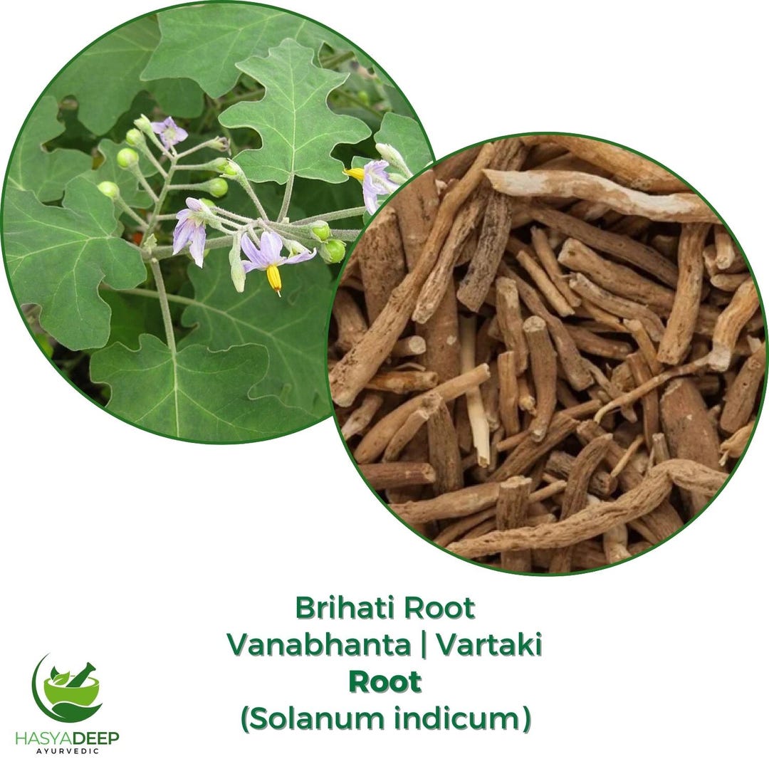 Brihati Root-powder | Solanum Indicum - Etsy
