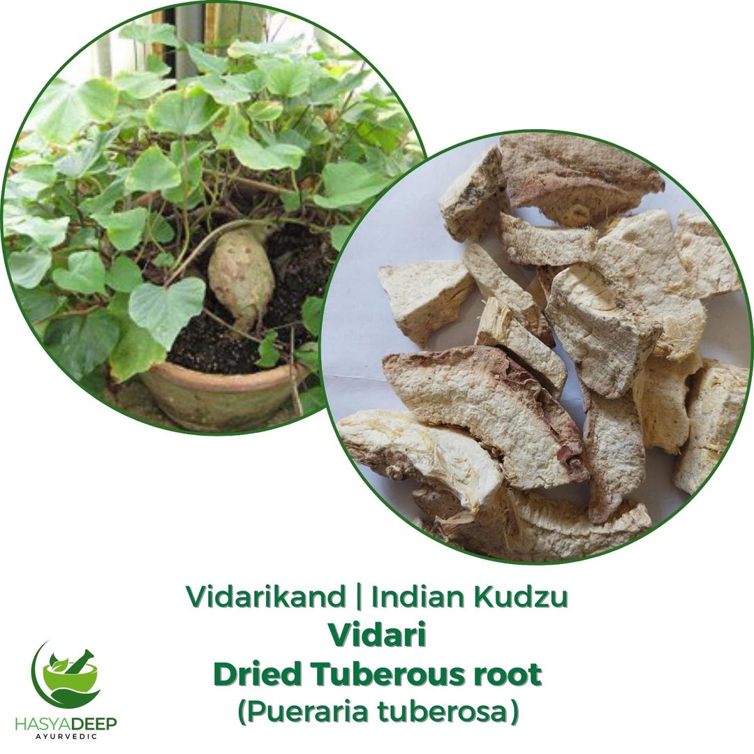 Vidarikand Root / Powder | Pueraria Tuberosa | Natural - Etsy