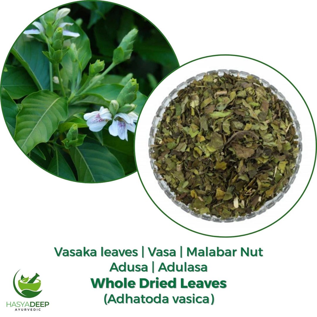 Vasa Leaves / Powder – Adhatoda Vasica (malabar Nut) | Natural - Etsy