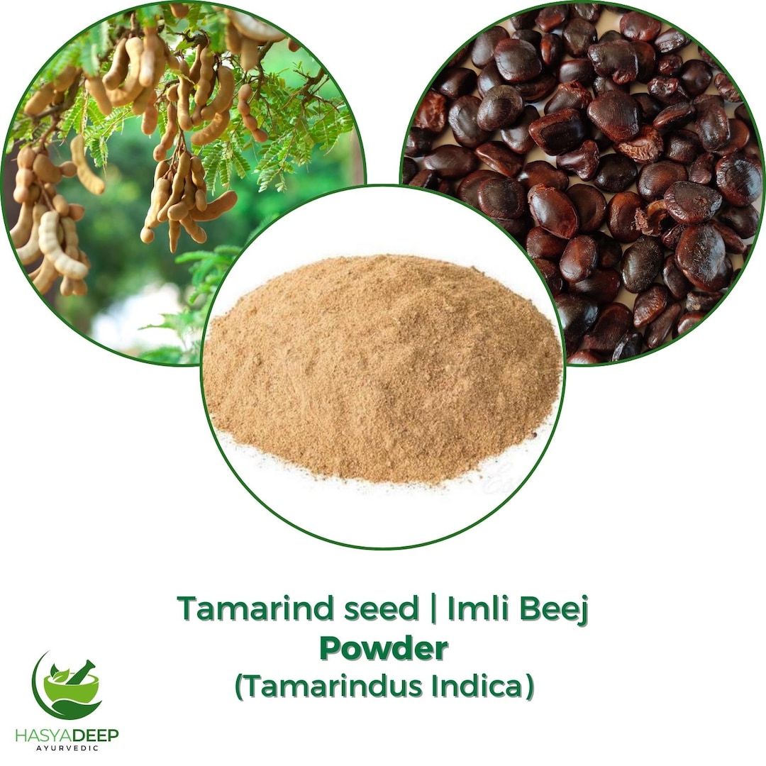 Imli Beej Powder | Tamarind Seed Powder | Emli | Tamarindus Indica ...