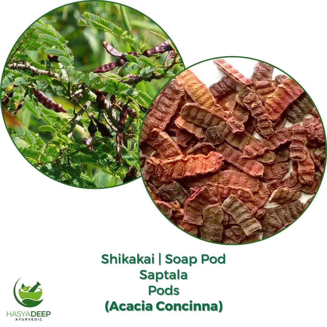 Shikakai Pods/powder | Natural Hair Cleanser | Acacia Concinna ...