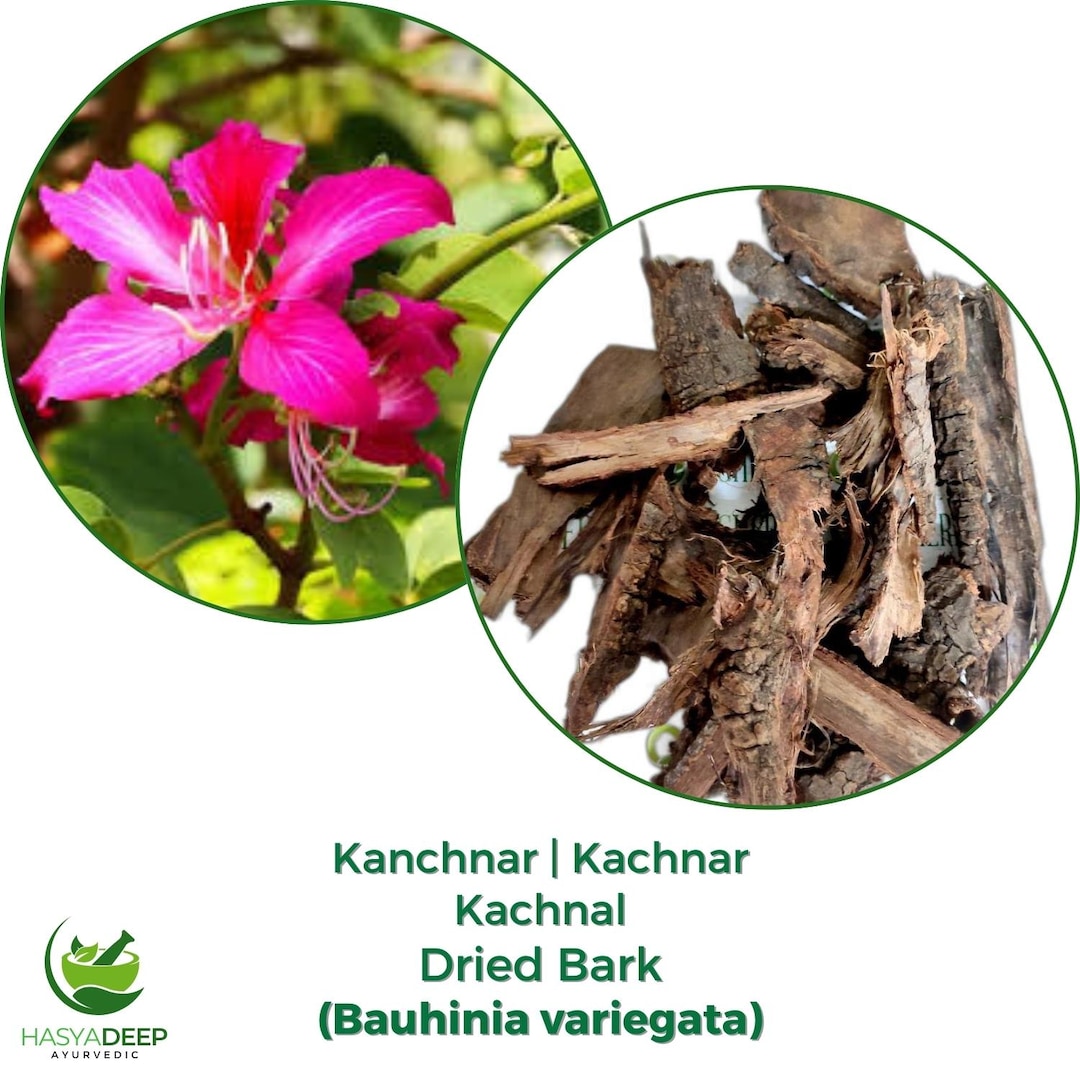 Kanchanar Bark / Powder – Bauhinia Variegata | Natural Herbal ...