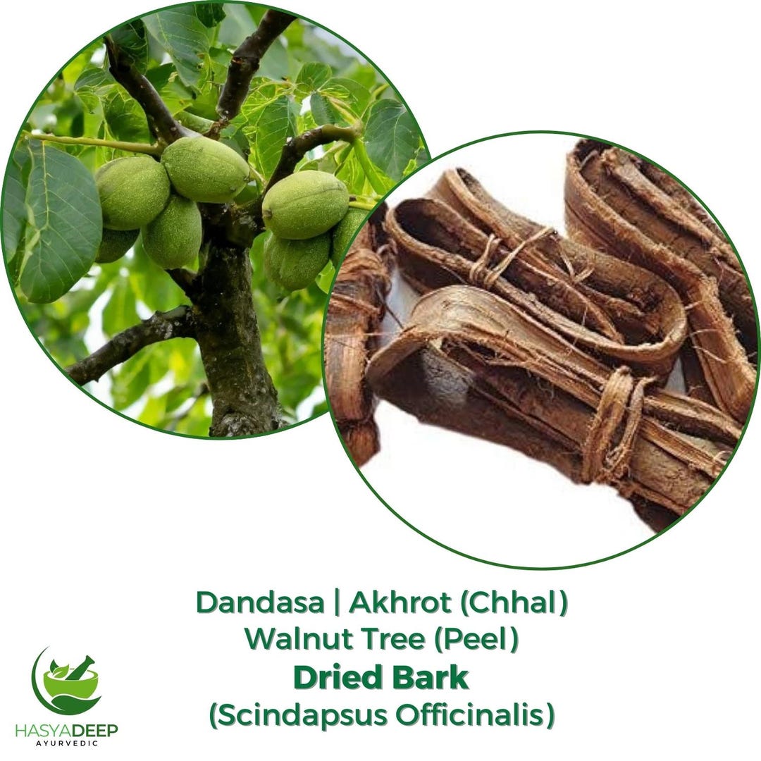 Dandasa Bark | Akhrot Ki Chhal | Walnut Tree Bark | Juglans Regia ...