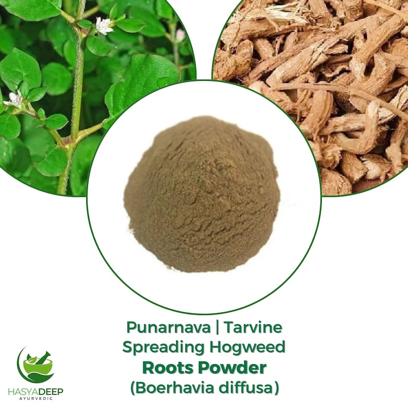Punarnava Root / Powder | Boerhavia Diffusa | Natural - Etsy