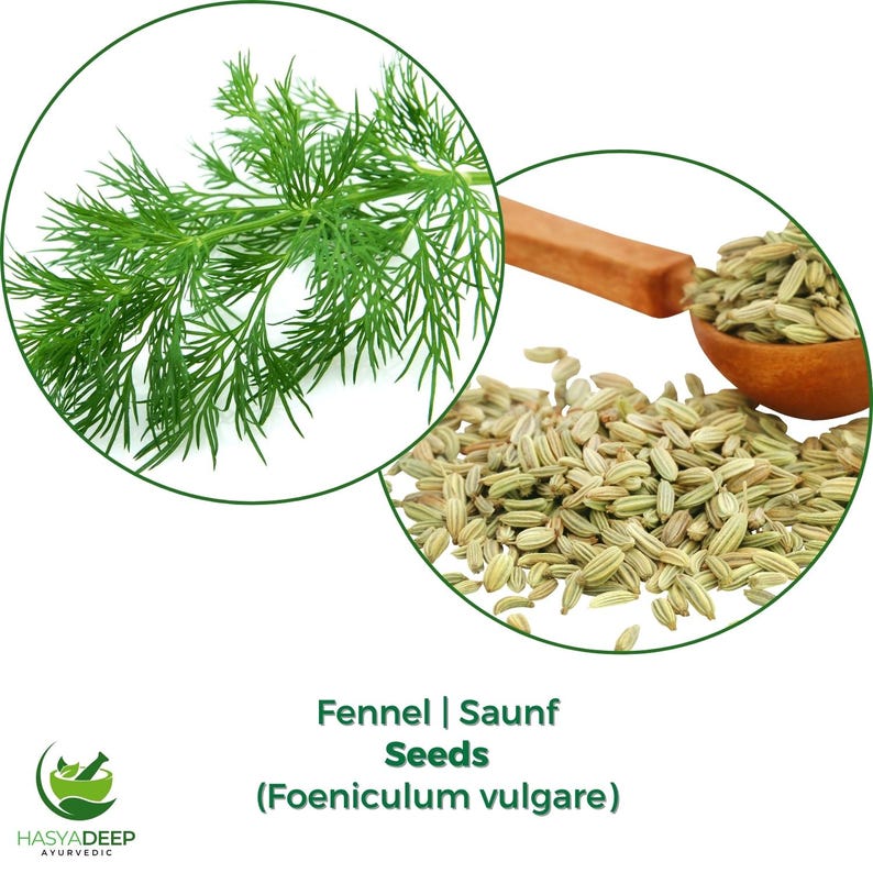 Saunf | Fennel Seeds | Foeniculum Vulgare | Natural - Etsy