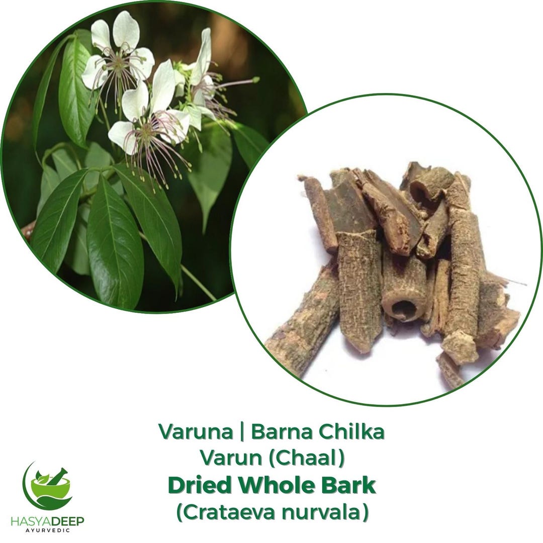 Varuna Bark-powder | Crataeva Nurvala, Natural Herb - Etsy