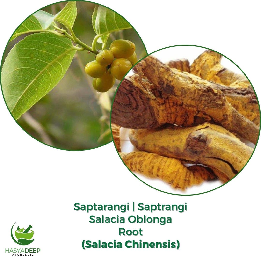 Saptarangi Roots/powder | Salacia Oblonga | Salacia Reticulata ...