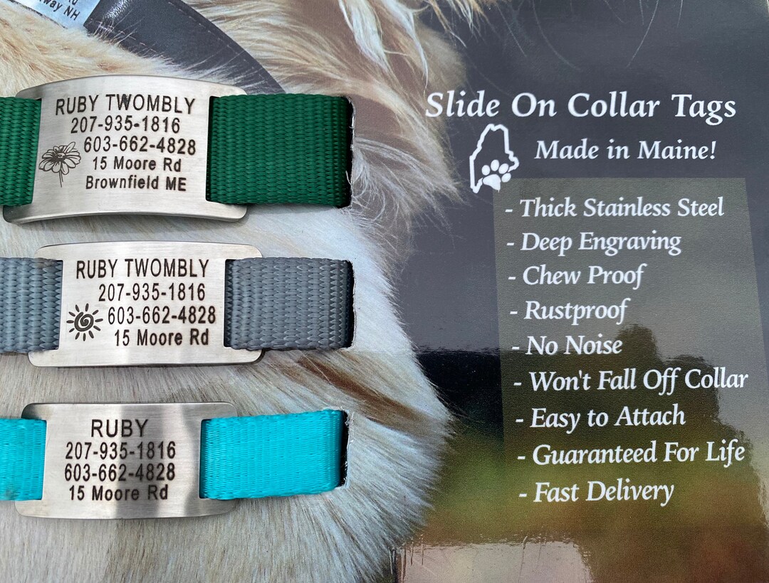 Thick Stainless Steel Curved Slide on Collar Tag/ Large /fits 1" Wide ...