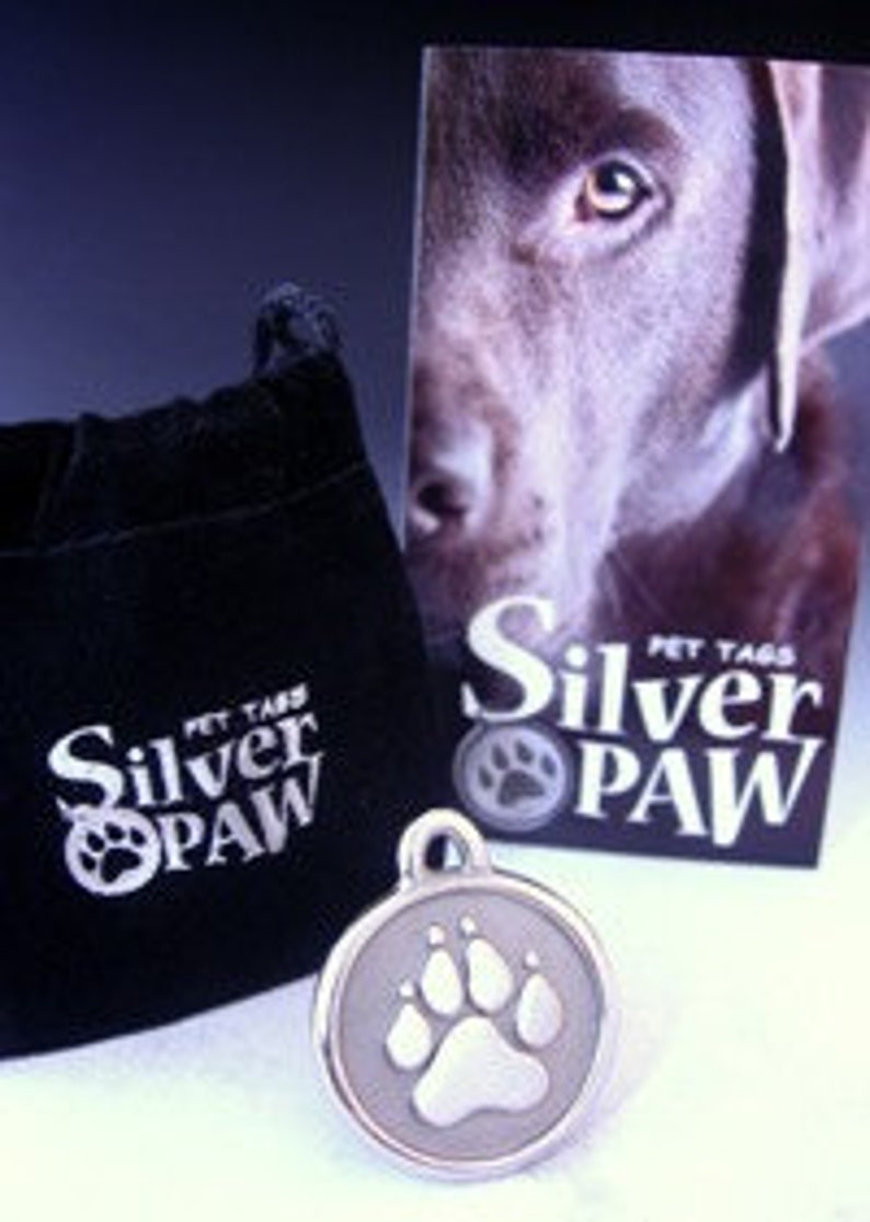 Medium Stainless Steel Silver Bone Pet ID Tag - Etsy