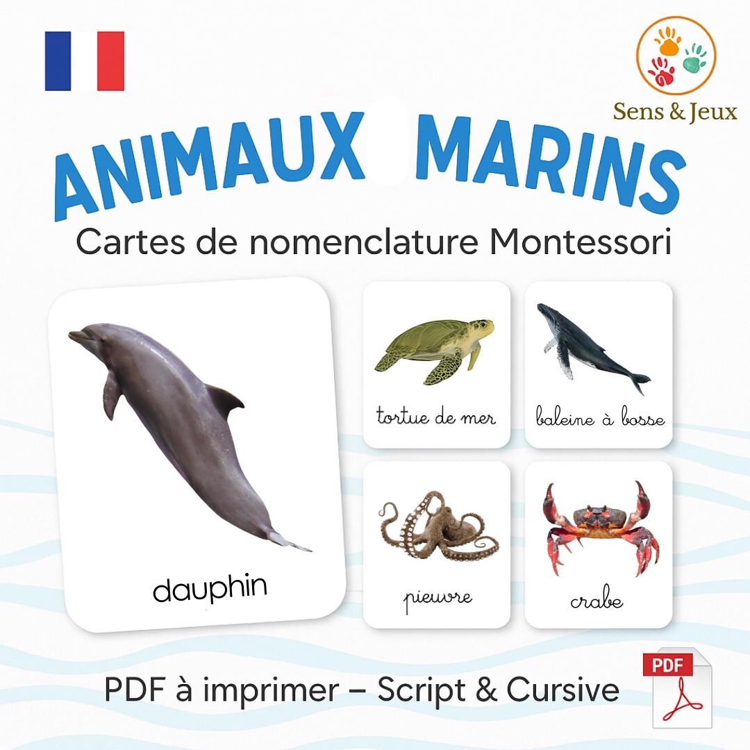 Montessori Nomenclature Cards – Sea Animals | 3-part Cards - Printable ...