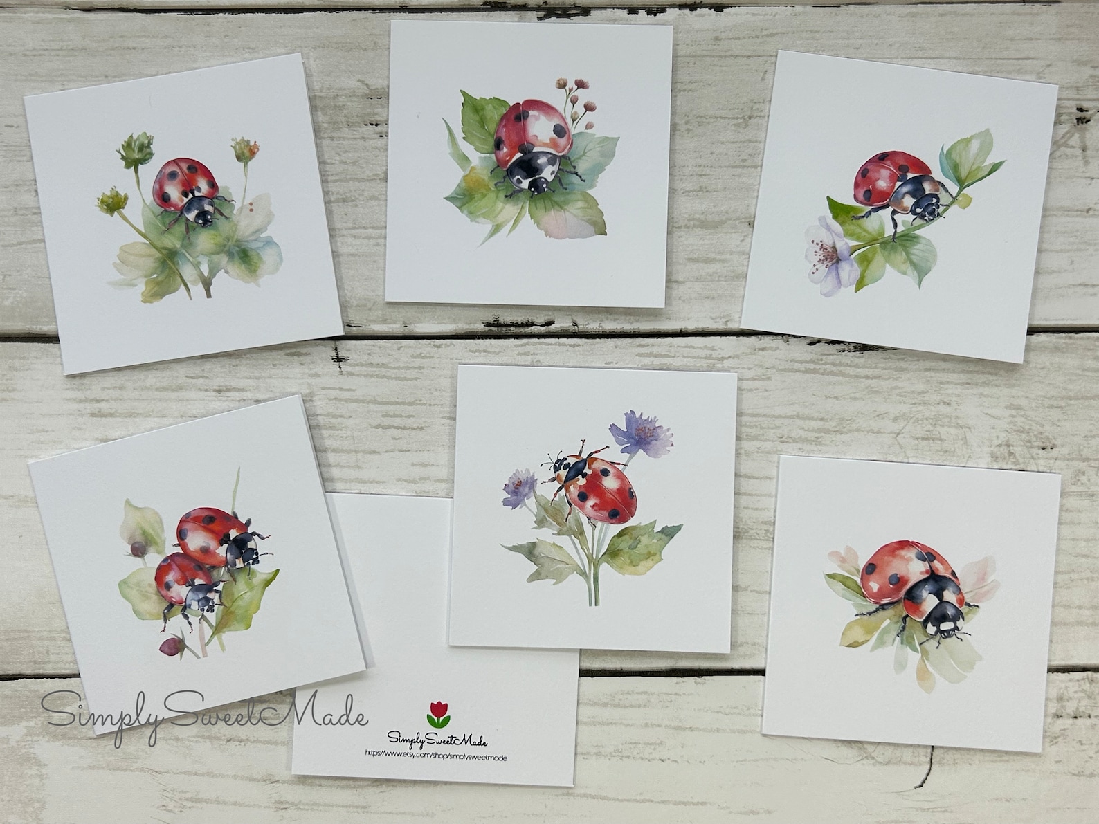 Ladybug Mini Note Cards: Watercolor Blank Cards, 3x3 (set of 18) - Etsy