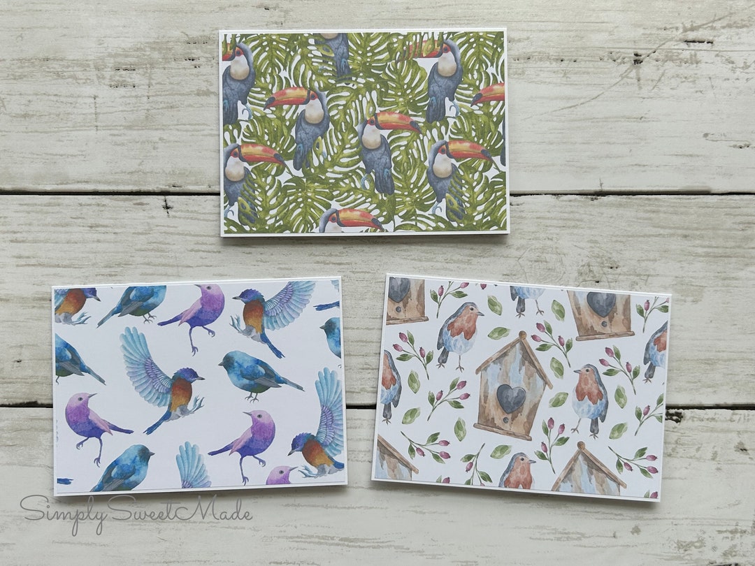 Watercolor Birds Cards 6 Beautiful Birds Blank Cards Assorted Birds ...