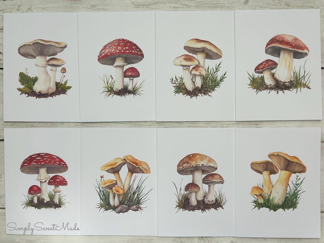 Mushroom Notecards: Assorted Designs, Handmade Blank Greeting Cards - Etsy