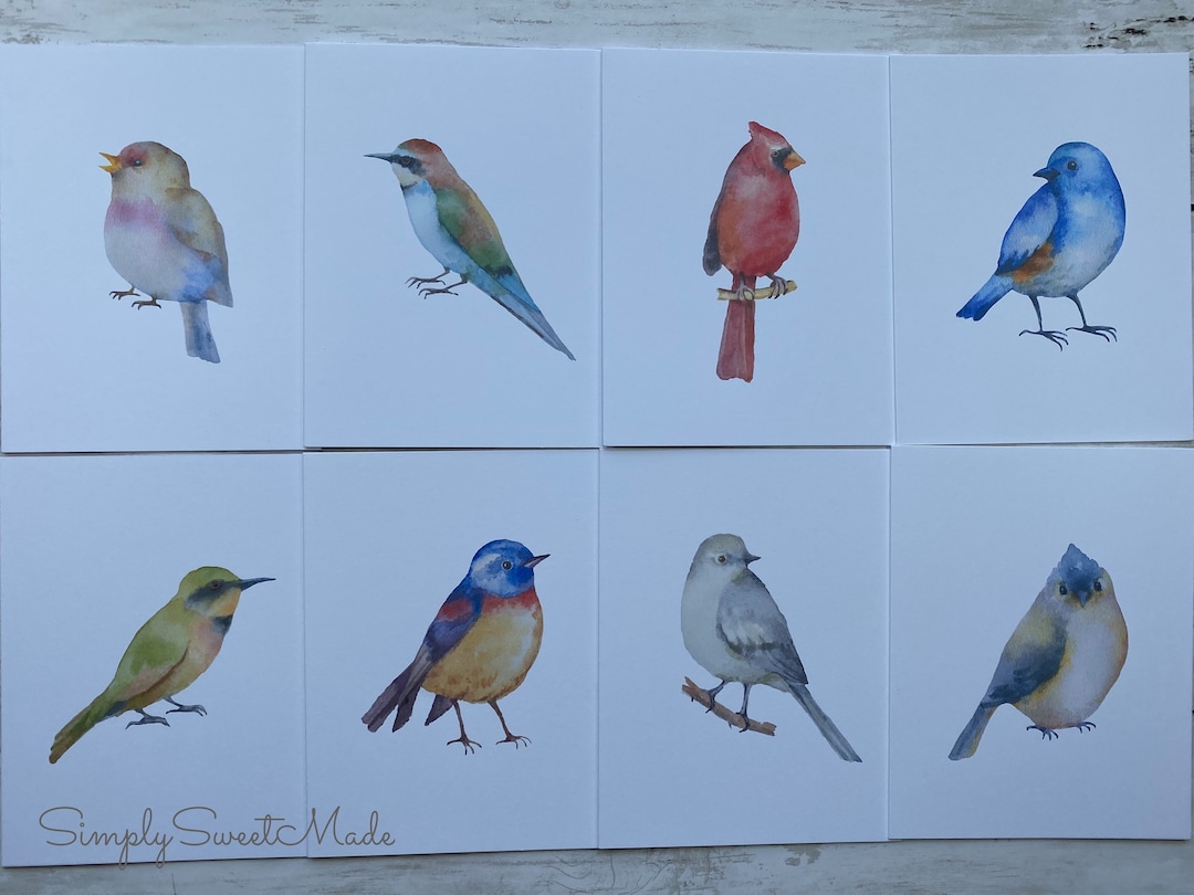 Bird Watercolor Cards Set - 8 Watercolor Birds Notecards - Watercolor ...