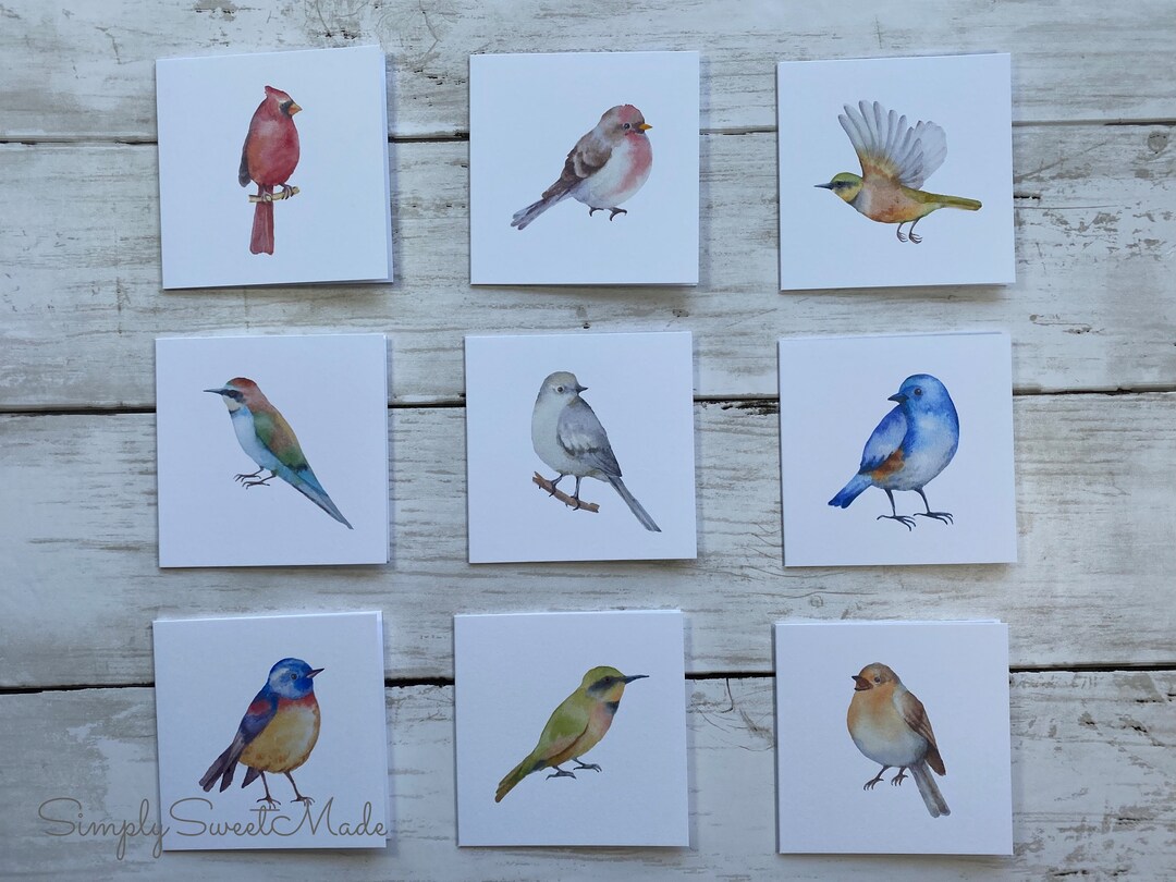 Mini Cards - 18 Bird Mini Blank Notecards - Watercolor Birds Mini Cards ...