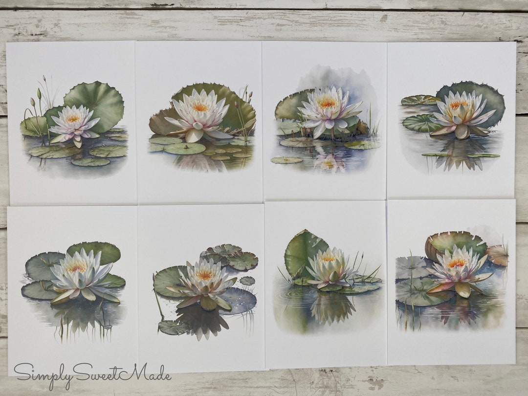 Water Lily Cards 8 Water Lily Notecards Assorted Water Lily Blank Cards ...
