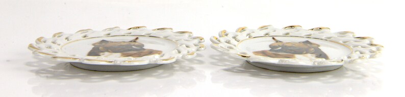 Decorative Plate Boxer Pair Dog Wall Plate Porcelain | Etsy