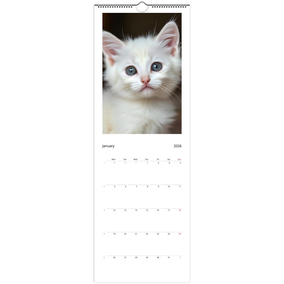 Adorable Cats 2026 Calendar - Personalized Wall Art - Cute Kitty ...