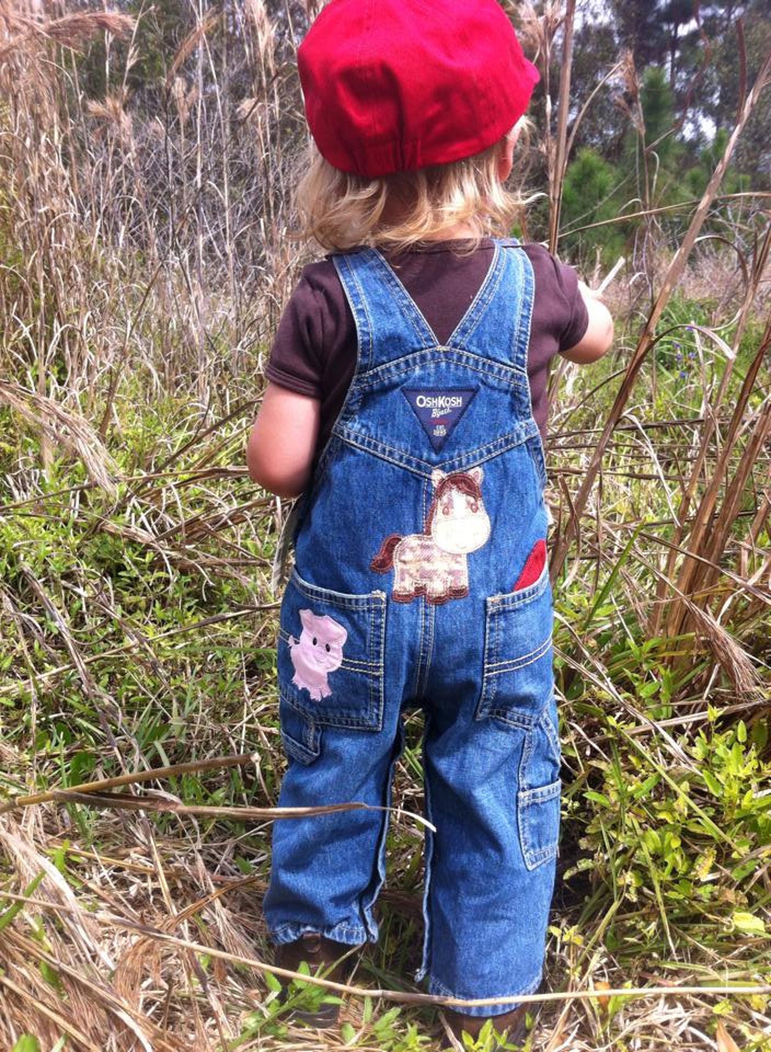 Birthday Farm Barn Yard Overalls-birthday Farm Cow Pig - Etsy