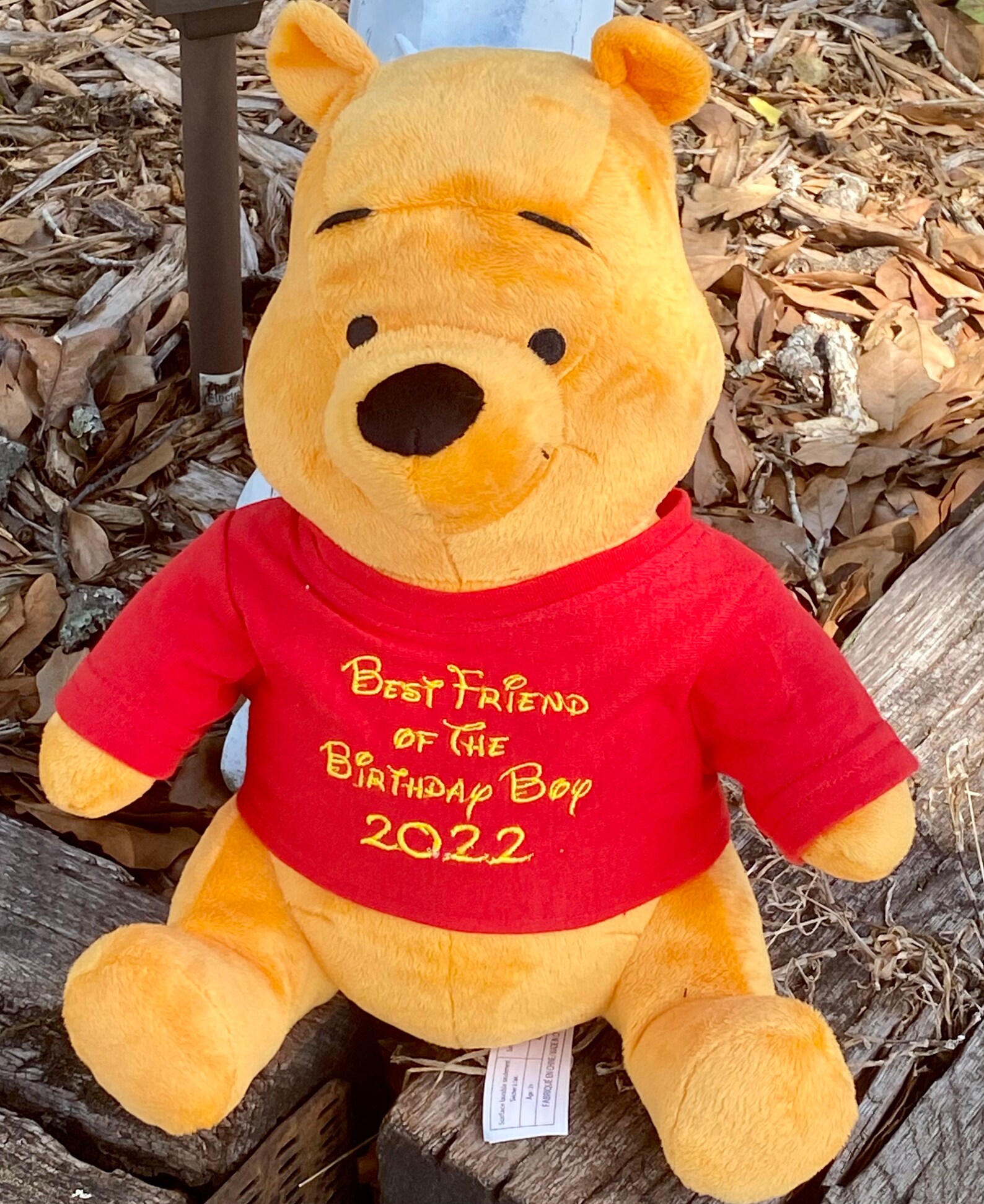 Pooh Custom Birthday Outfit With Custom Pooh Bear\boy's 1st Birthday ...
