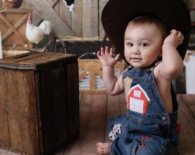 Birthday Farm Barn Yard Overalls-birthday Farm Cow Pig Birthday Outfit ...