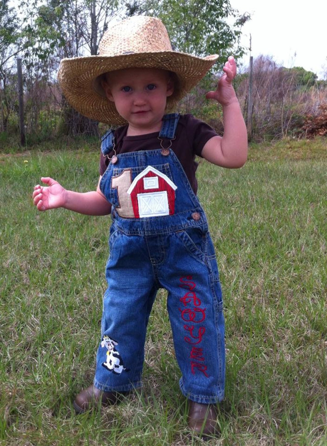 Farmer Boy Day on the Farm Personalized Birthday Overalls or Shortalls ...