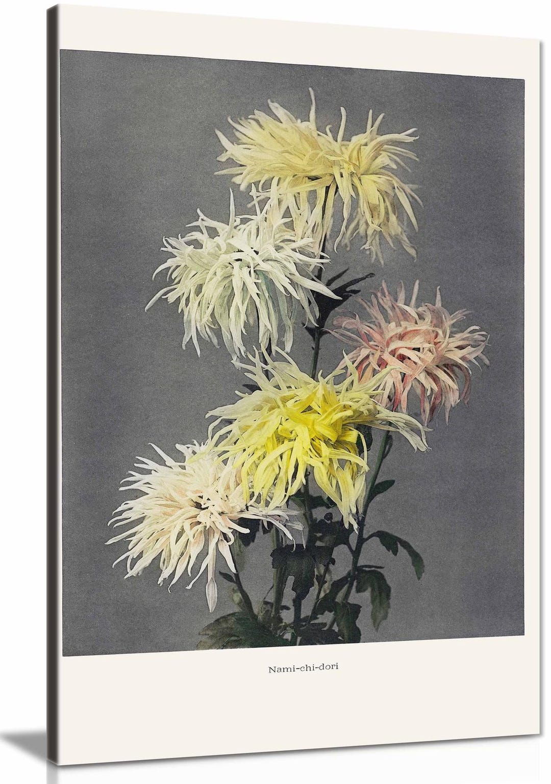 Nami-chi-dori Framed Canvas Print, Pictures for Home Walls Decor - Etsy