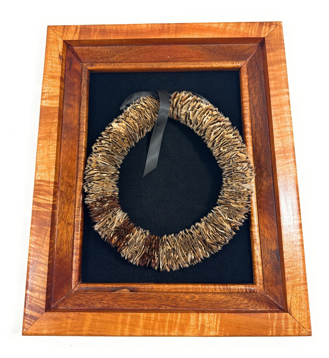 Feather Lei Pheasant Accent in Ultra Premium Solid Koa Shadow Box 15 in ...