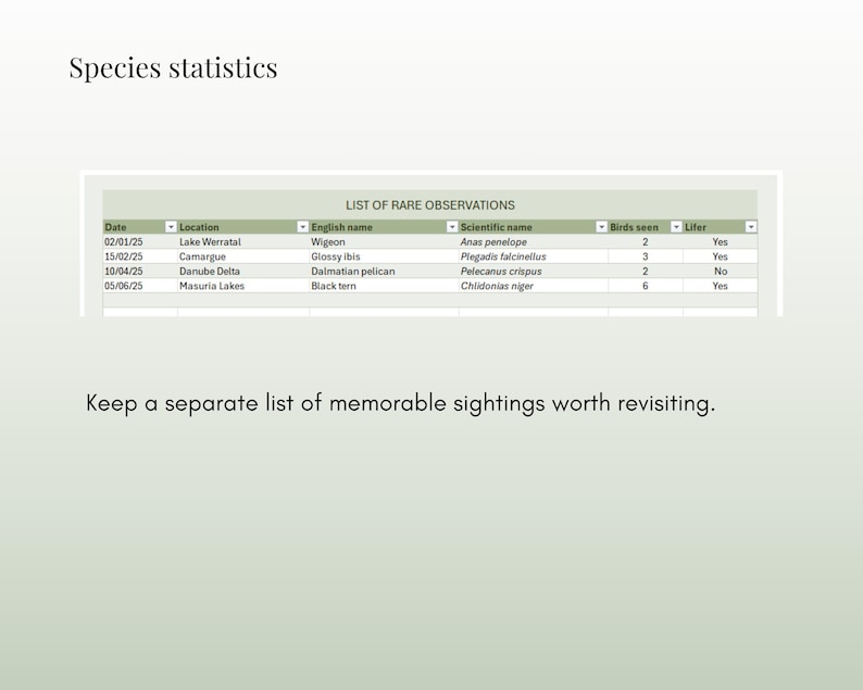 Birdwatching Logbook Template: Excel & Google Sheets Tracker (digital ...