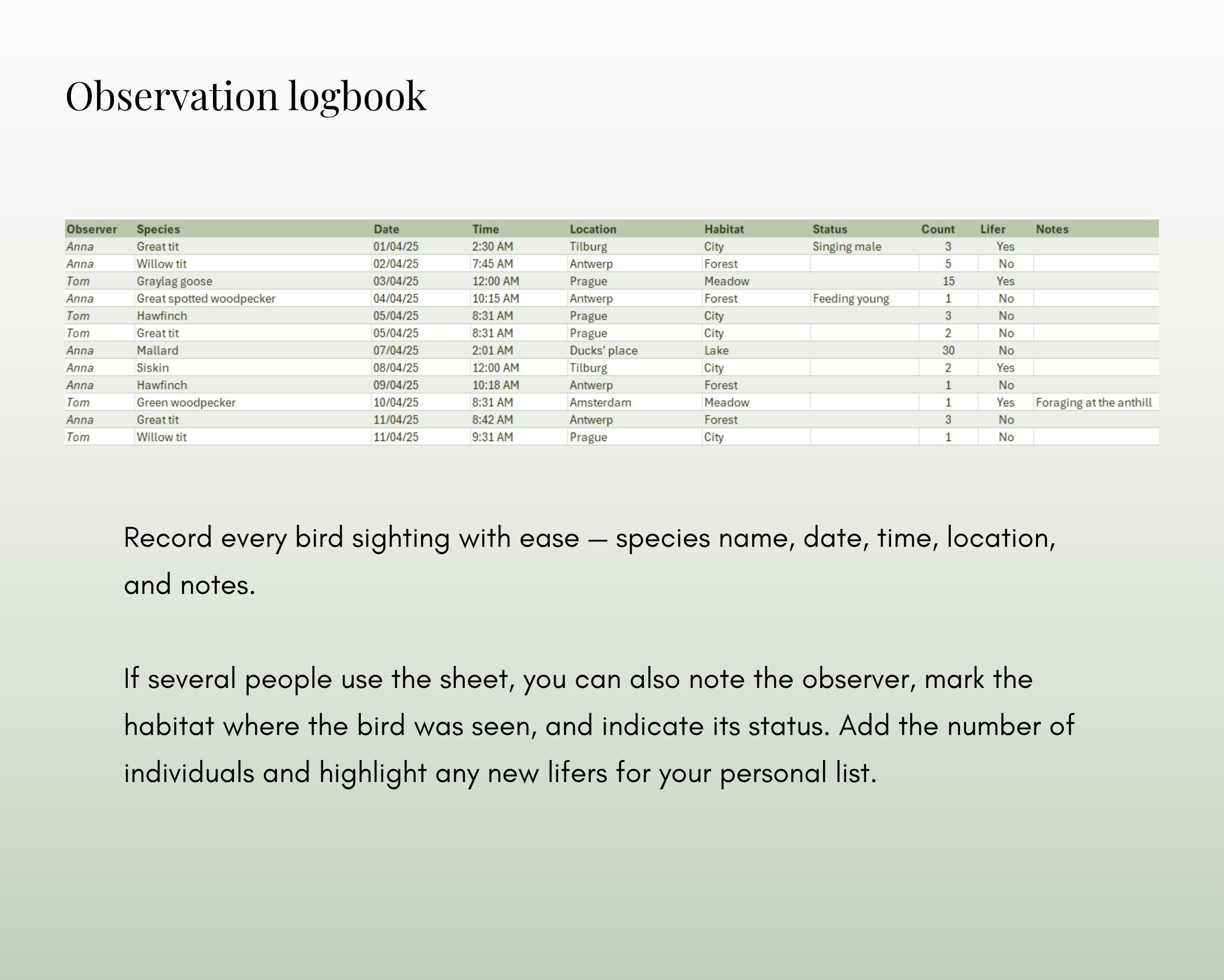 Birdwatching Logbook Template: Excel & Google Sheets Tracker (digital ...
