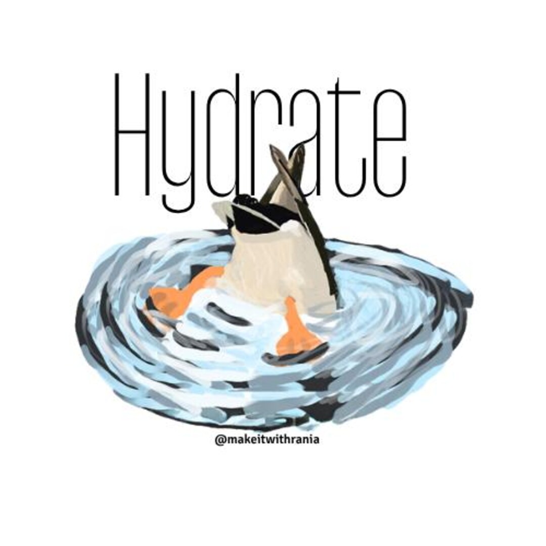 Hydrate Duck Sticker - Etsy