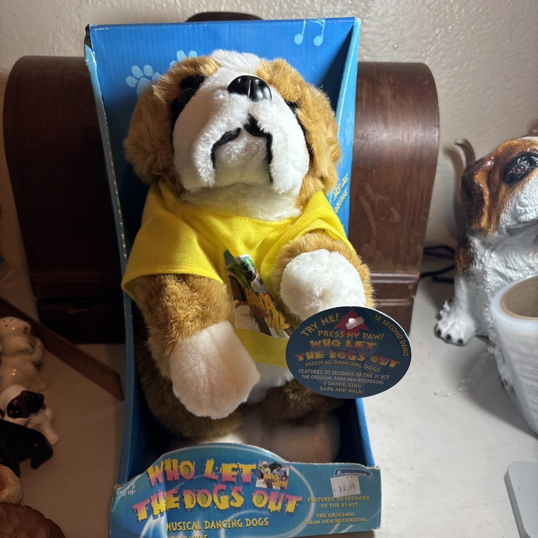 Who Let the Dogs Out Musical Dancing Dogs St. Bernard See Pics Never ...
