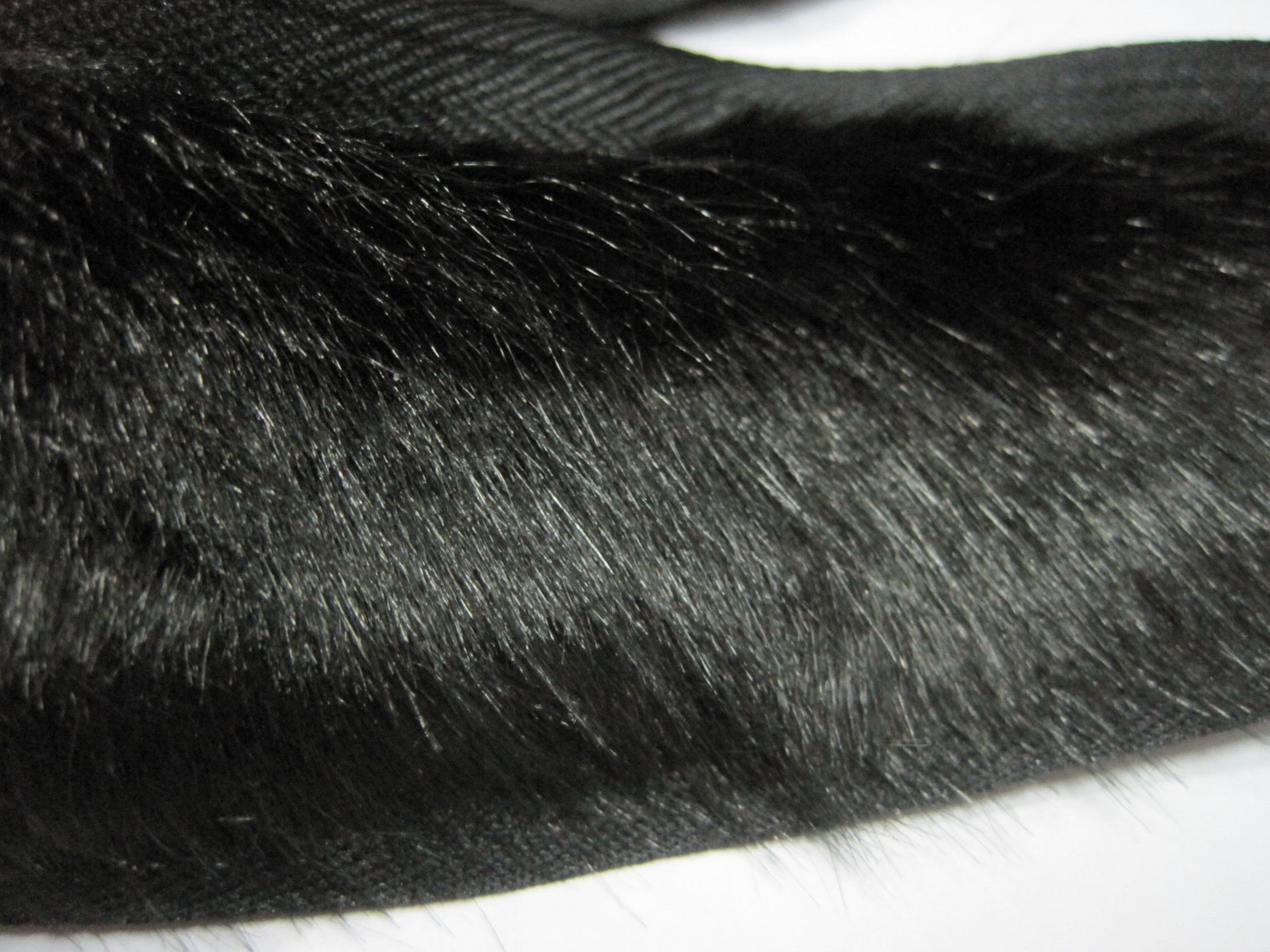 1 Yd 2 Black Fur Trim Fur Trim Faux Fur Trim Blue - Etsy