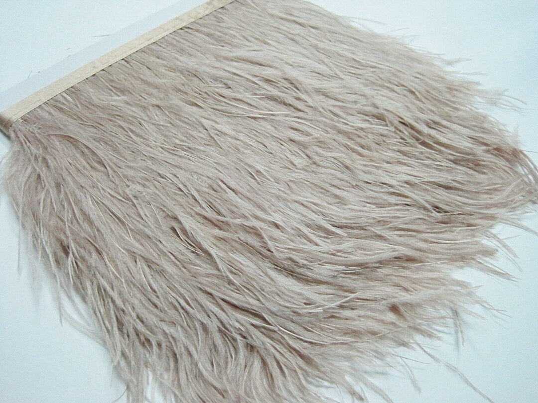1 Yard Ostrich Trim, Beige Fringe, Ostrich Feather, Ostrich Feather ...
