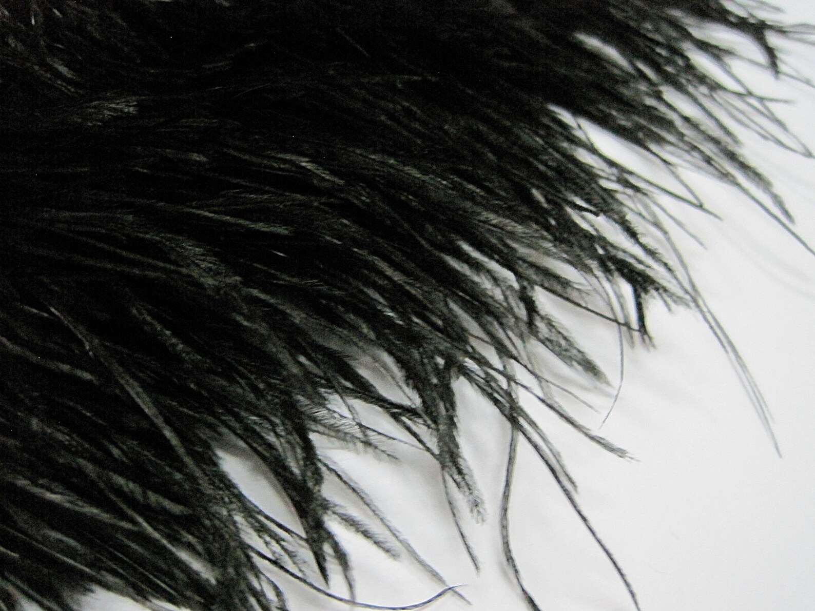 1 Yard Ostrich Trim, Black Fringe, Ostrich Feather, Ostrich Feather ...