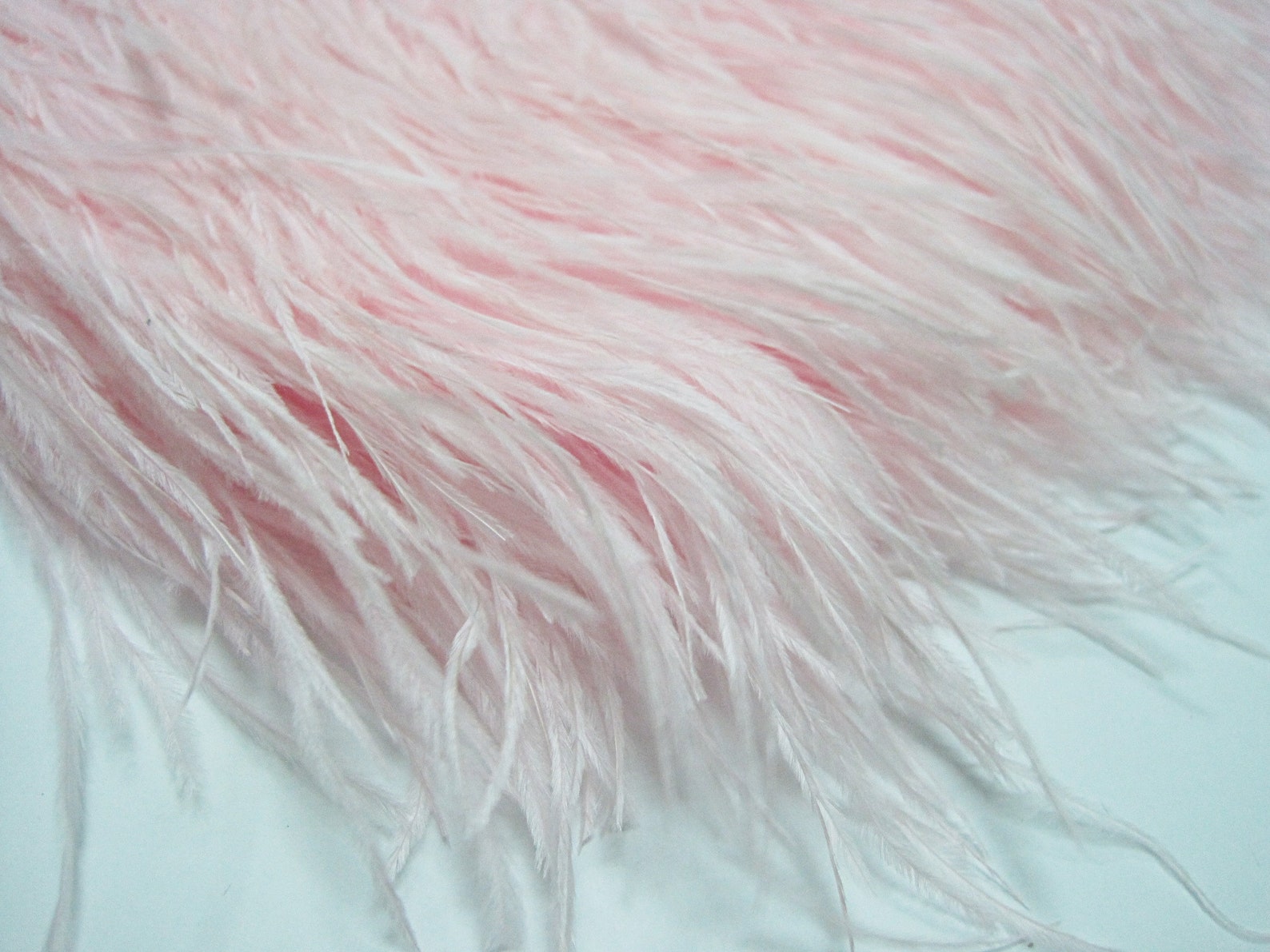 1 Yard Ostrich trim Sweet Pink Fringe Ostrich feather | Etsy