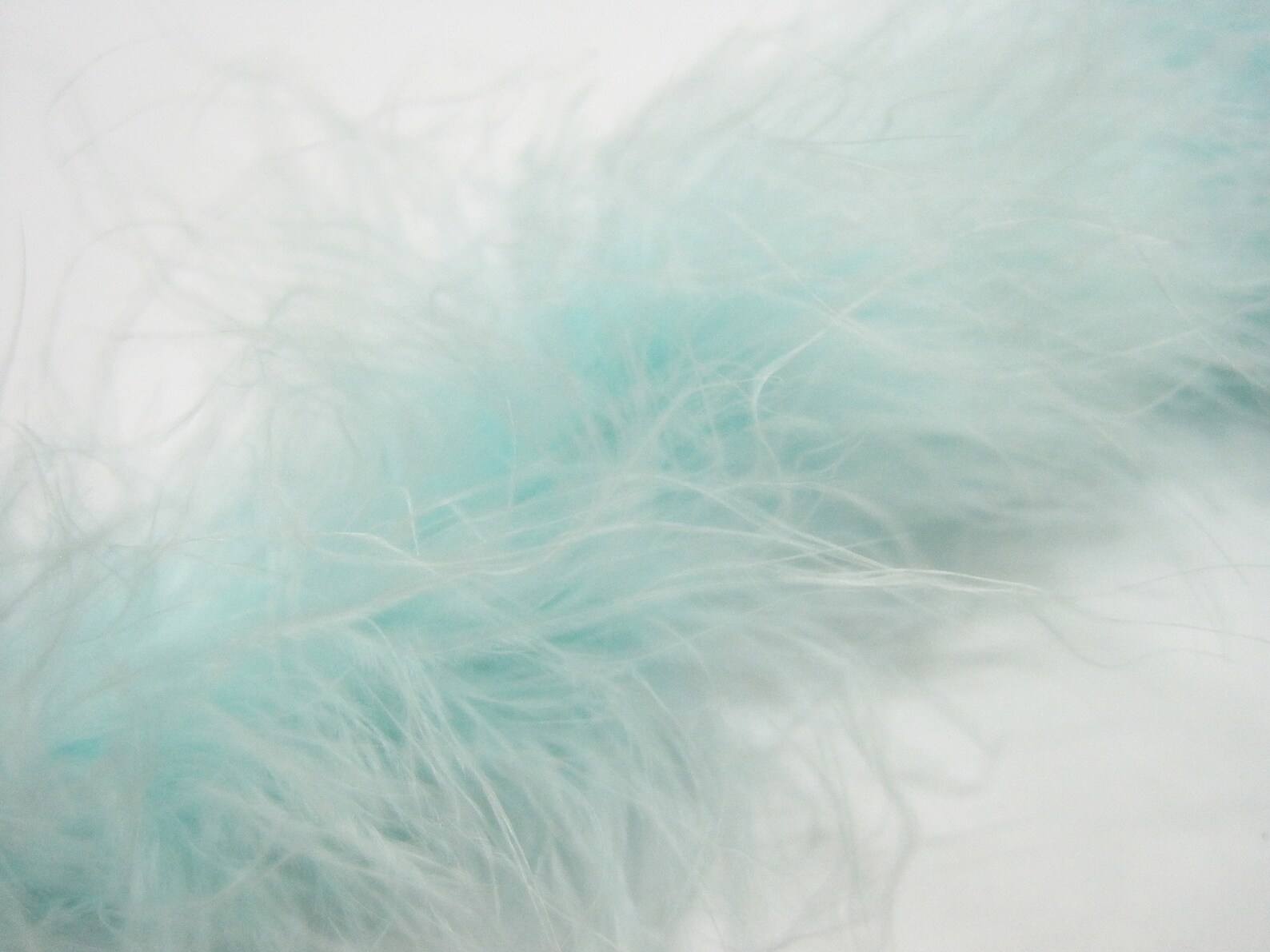 1 Yard 2.5 Feather Trim Baby Blue Feather Trim Ostrich - Etsy