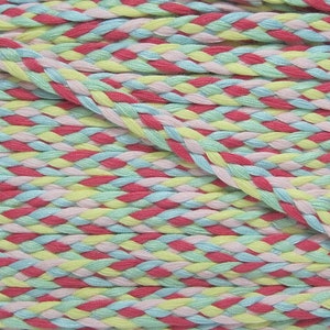 5 Yards Braided Trim, Multicolored Trim, Flat Braided Cord, Braided ...