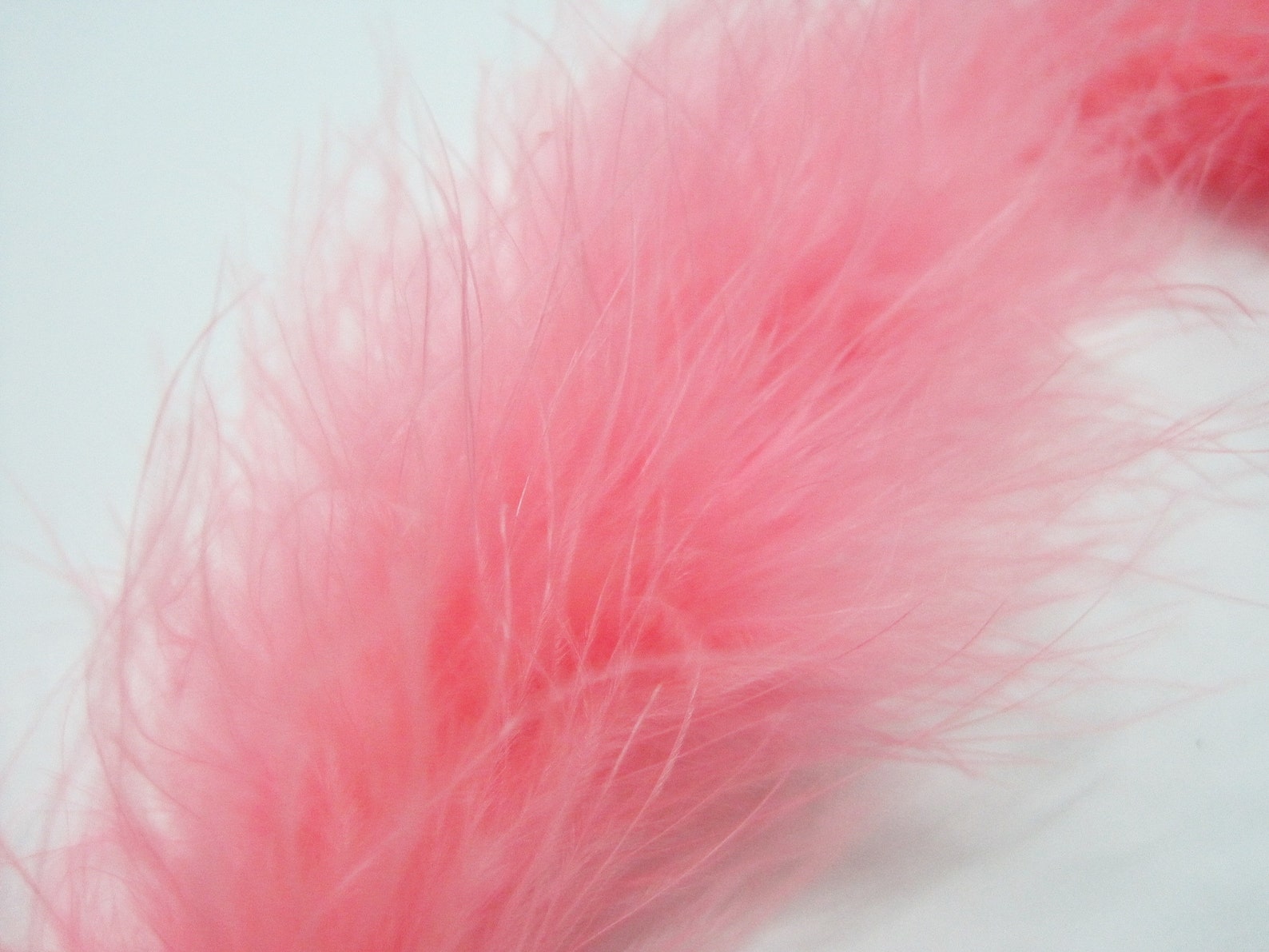 1 Yard 2.5 Feather Trim Coral Pink Feather Trim - Etsy