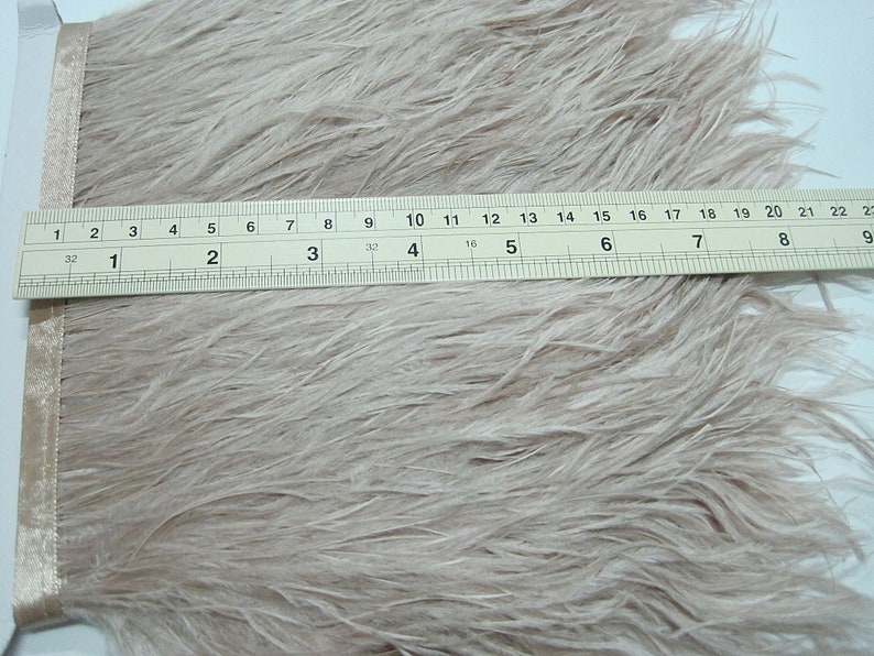 1 Yard Ostrich trim Beige Fringe Ostrich feather Ostrich | Etsy