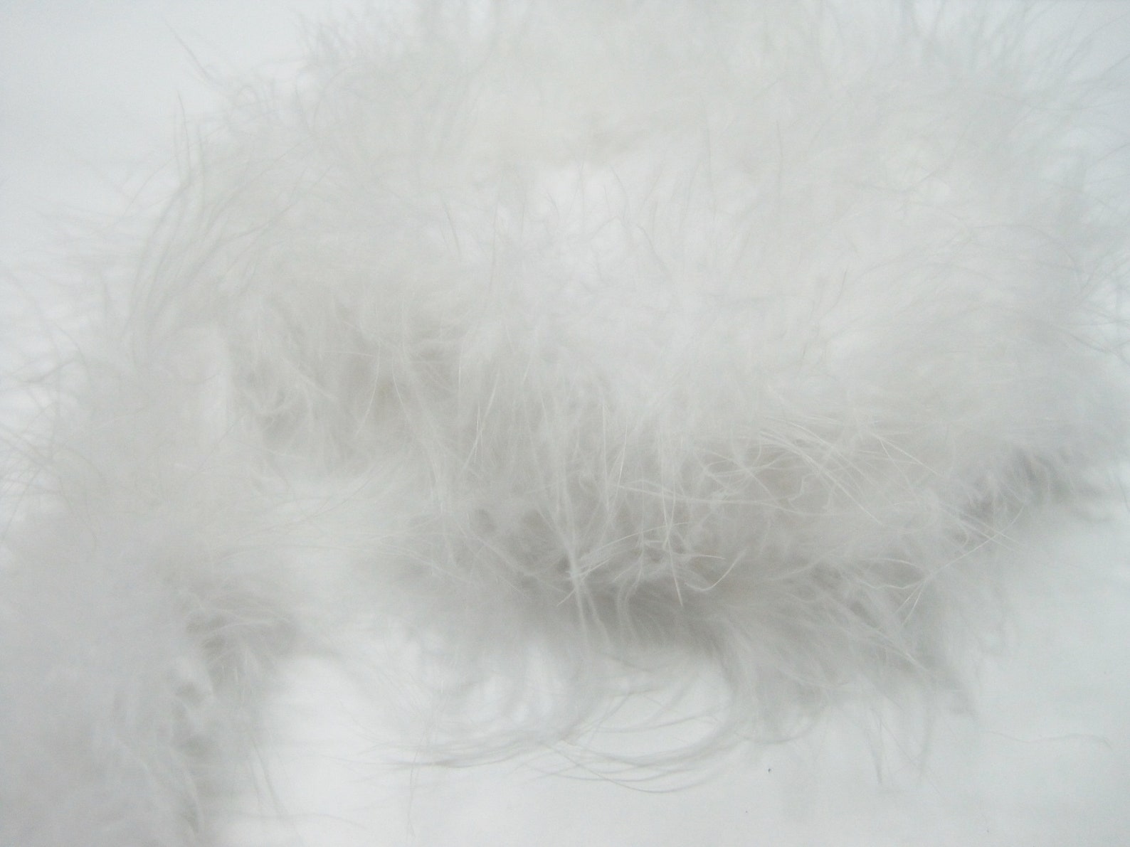 1 Yard 2.5 Feather Trim White Feather Trim Ostrich | Etsy