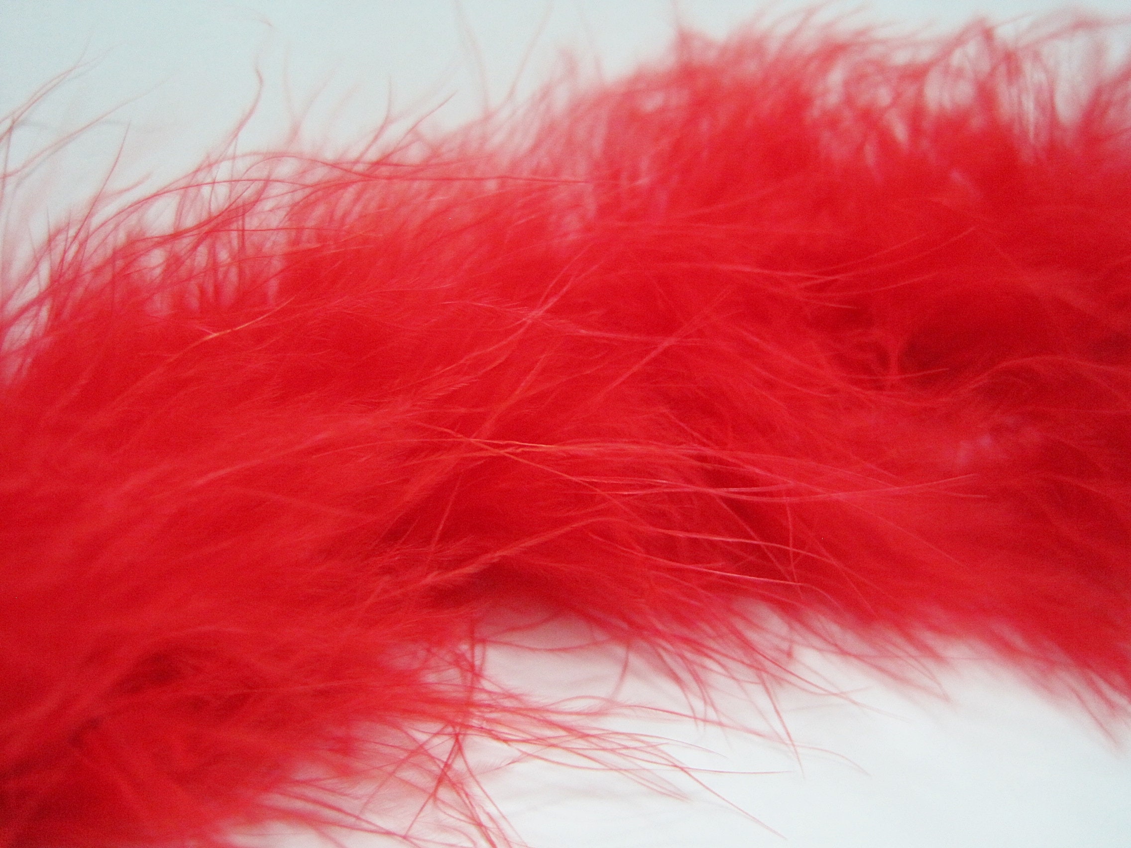 1 yard 2.5 Feather Trim Red Feather trim Ostrich | Etsy