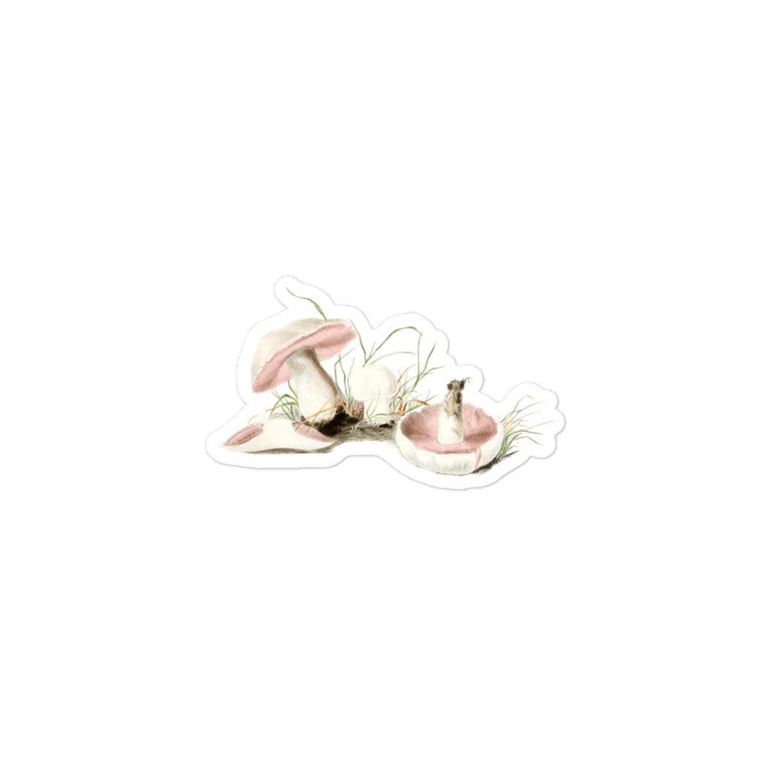 Pink Cottage Core Mushroom Bubble-free Stickers - Etsy