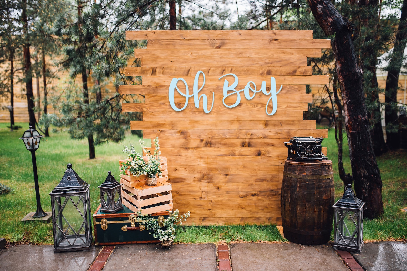 Oh Boy Oh Girl Signs Baby Shower Decorations. Baby Shower Backdrop ...
