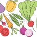 Doodle Vegetable Clip Art Set, Hand Drawn Food Clipart, Commercial Use ...