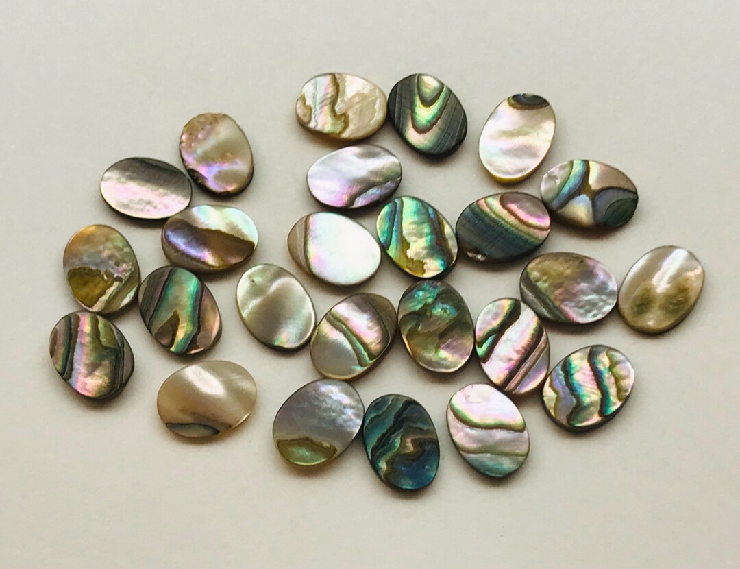 144pcs 1 Gross 8x6mm Small Abalone Cabochons Small Oval Abalone Vintage ...