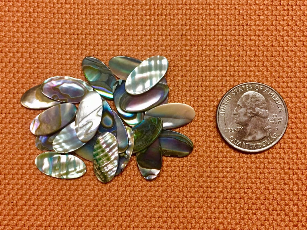 144pcs 1 Gross 9x18mm Small Abalone Cabochons Oval Vintage Flat Natural ...