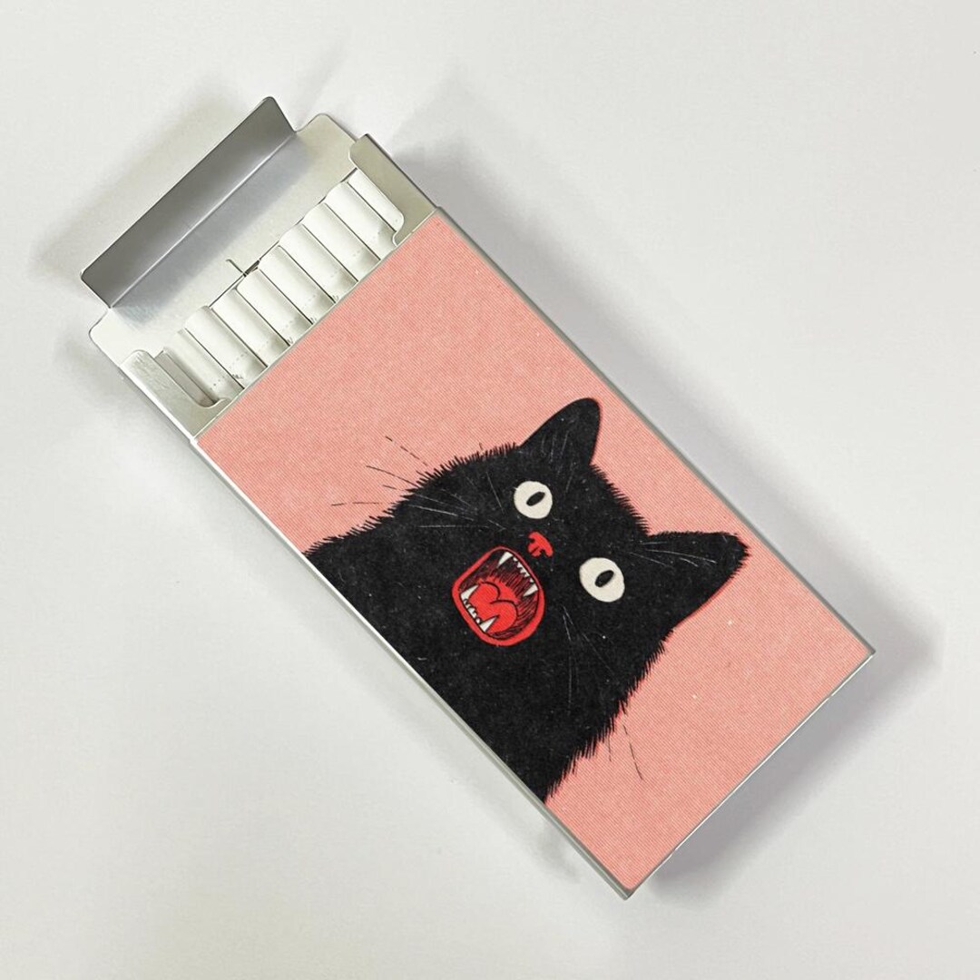Terrified Black Cat Cigarette Case, Silver Aluminum Alloy Sliding Top ...